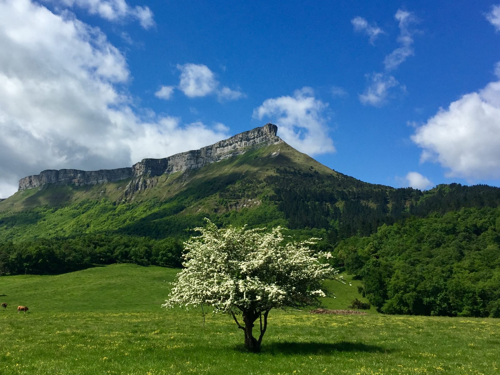 Contacto - Grupo Don Pablo